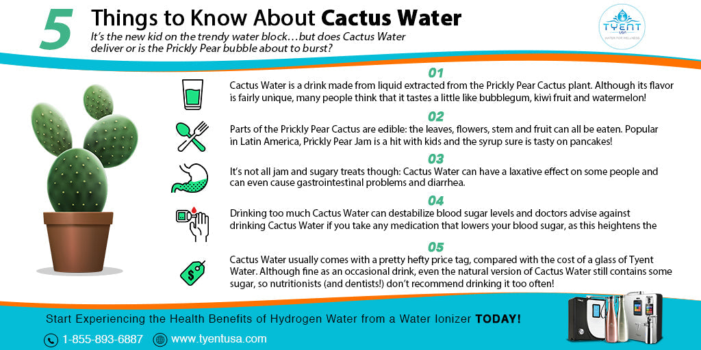 5 Things to Know About Cactus Water – Tyent