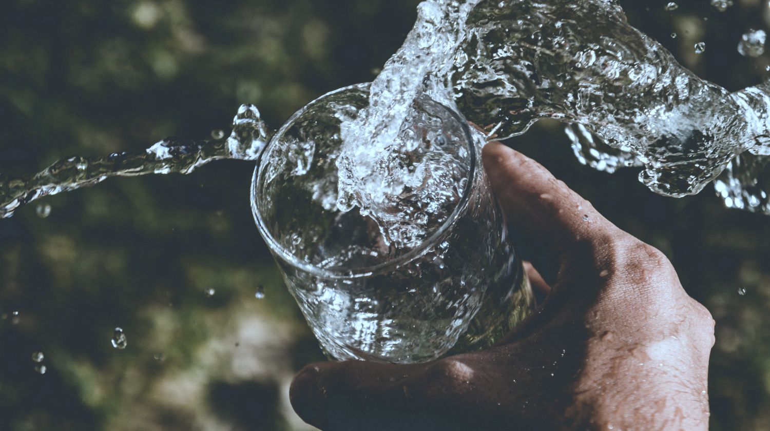 Can Drinking Water Improve Your Gut Health? – Tyent